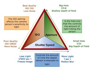 Learn How To Use Your DSLR Camera With This Easy Photography Tutorial ...