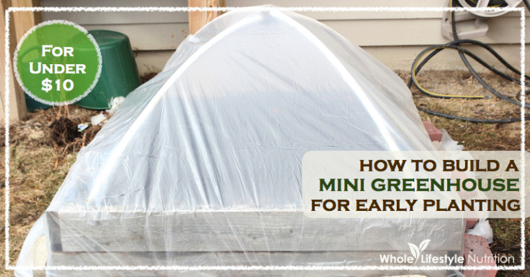 How To Build A Mini Greenhouse For Early Planting in 5 Easy Steps ...