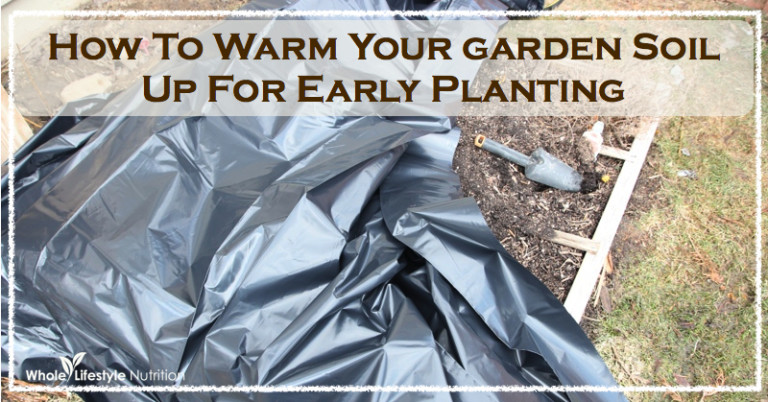 How To Warm Garden Soil Up For Early Planting - Whole Lifestyle Nutrition